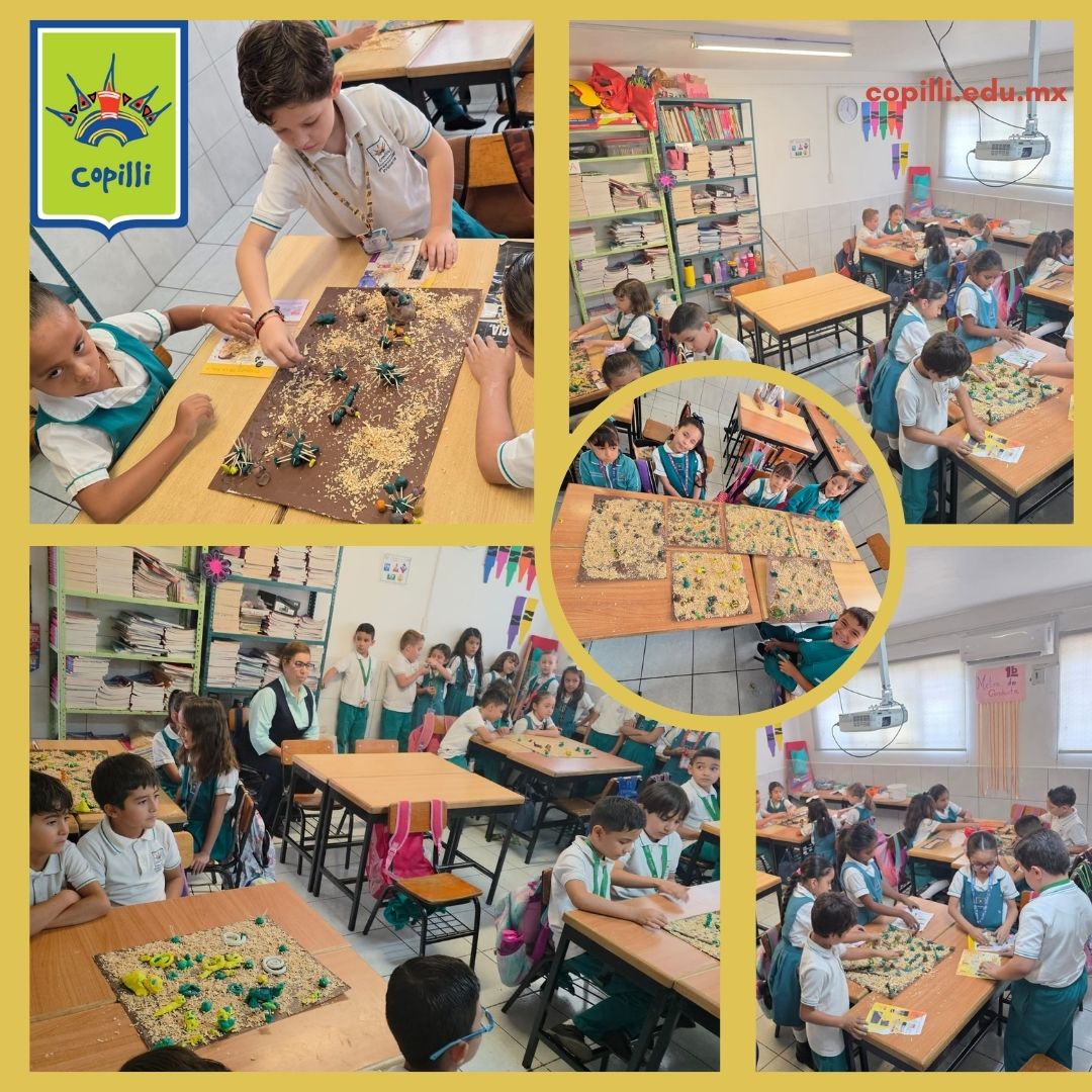 El desierto de Altar Sonora – Colegio Copilli